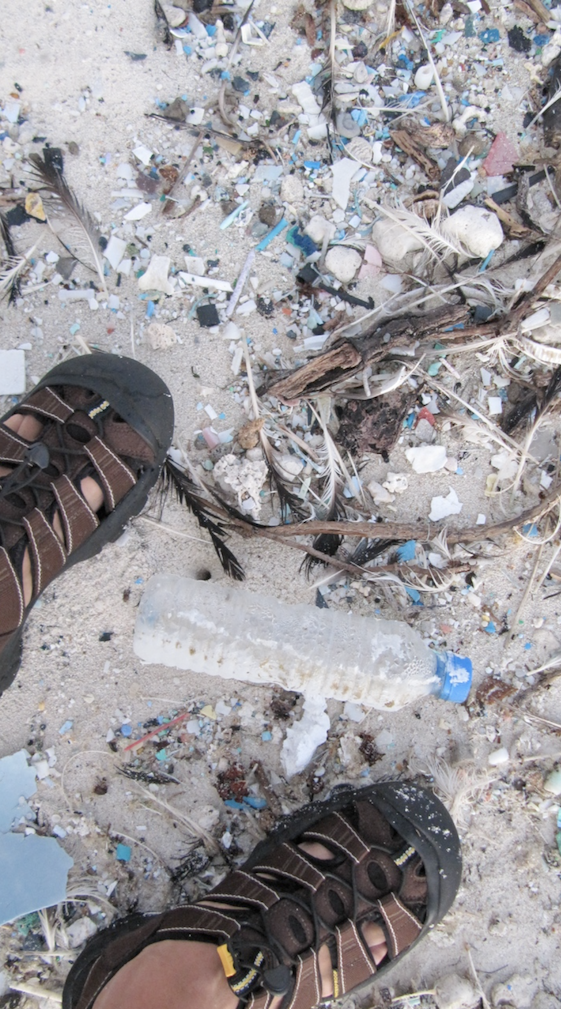 Microplastics Okanagan | Microplastics In Okanagan Lake
